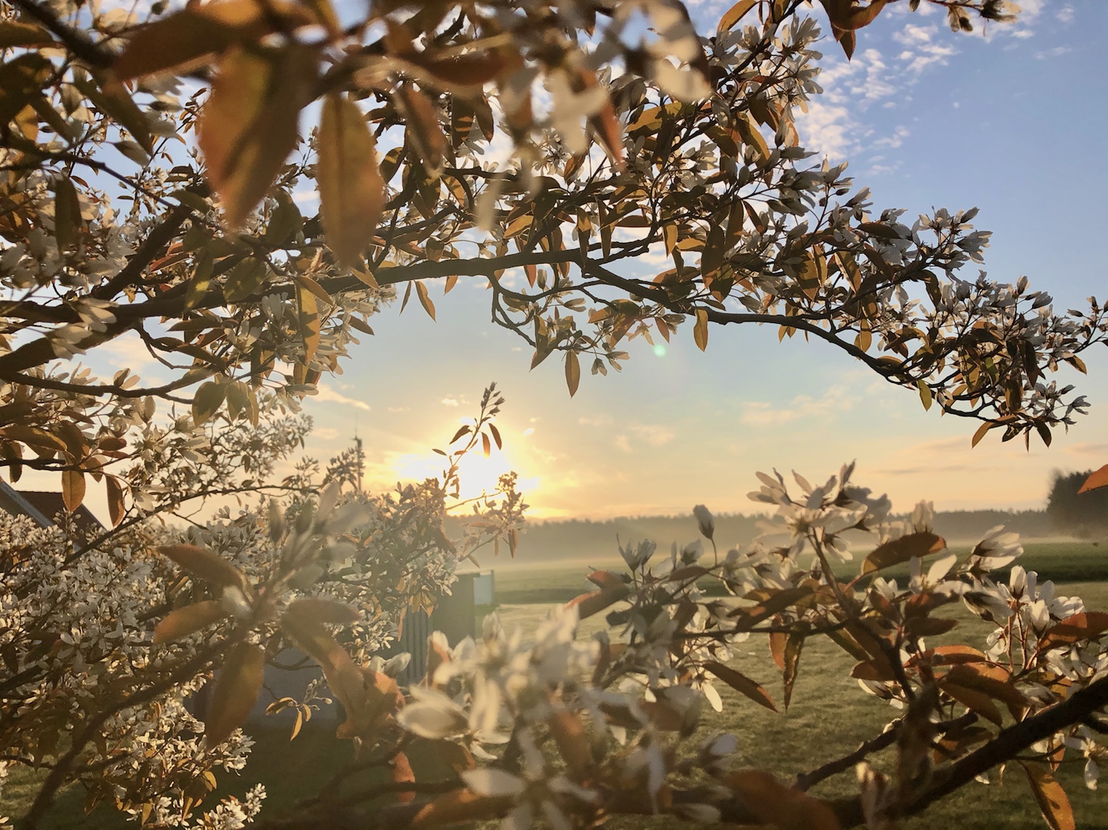 Val-frihet och träningsvärk i hjärnan – Malin Maria